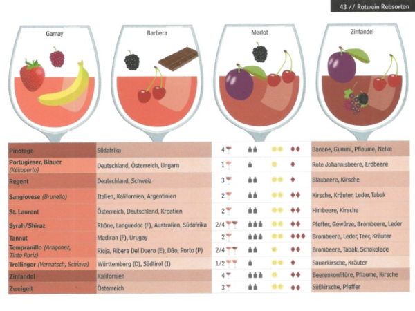 Wein nachhaltig verstehen • Fair Wine